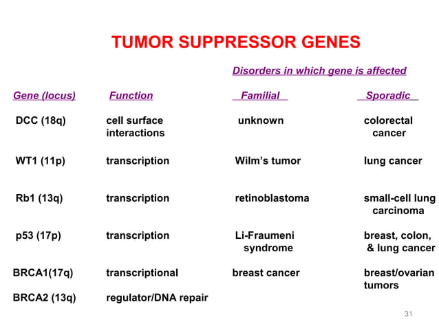 Basics in cancer biology.pdf