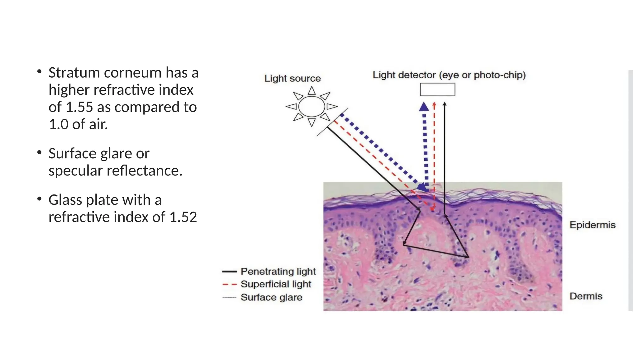 BASICS IN DERMOSCOPY for clinical diagnosis | PPTX