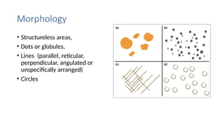 BASICS IN DERMOSCOPY for clinical diagnosis | PPTX