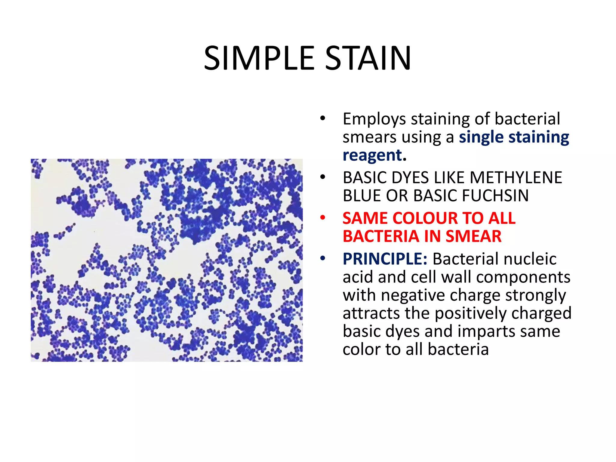 BASICS IN GRAM STAINING.pptx