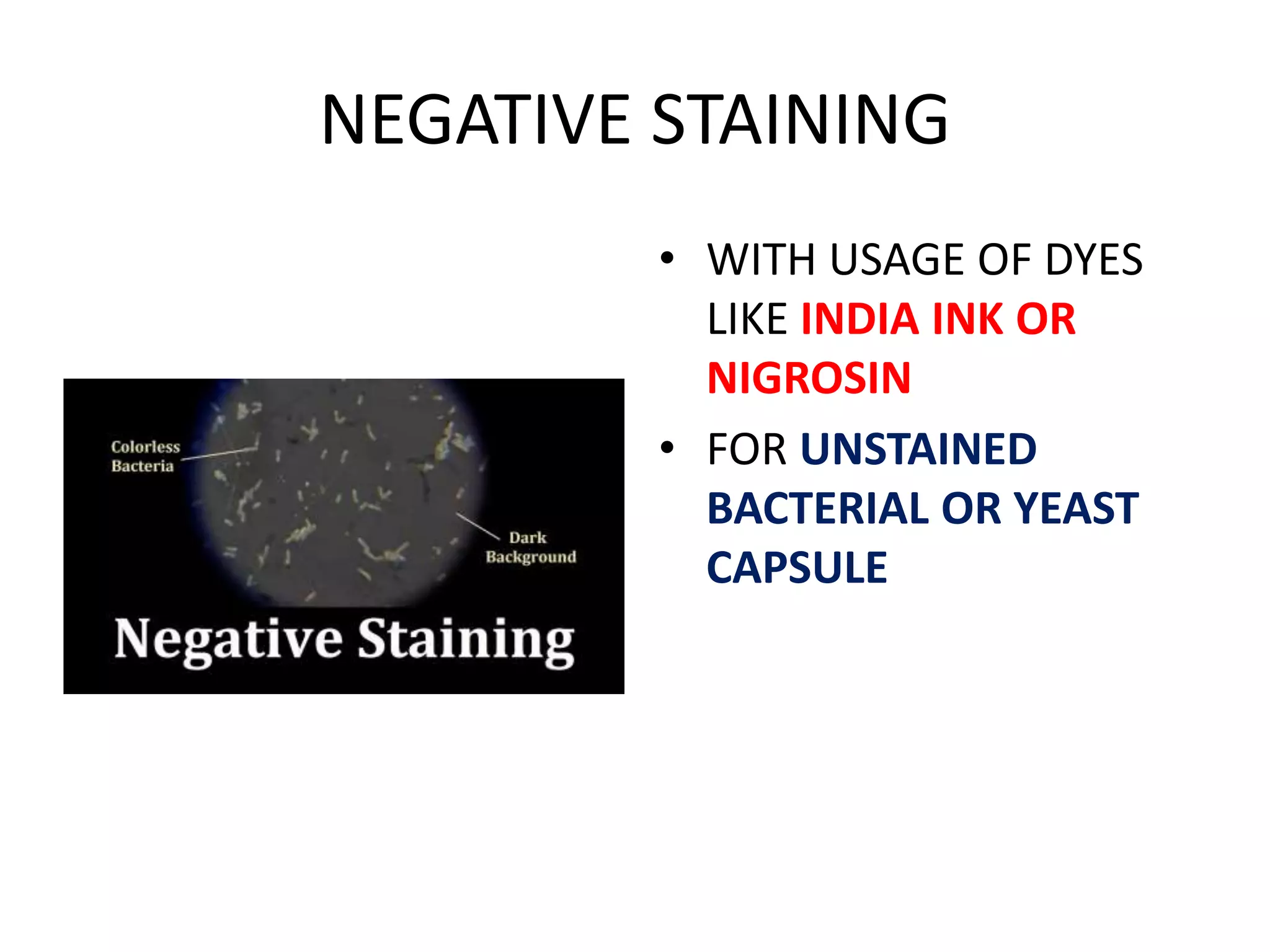 BASICS IN GRAM STAINING.pptx