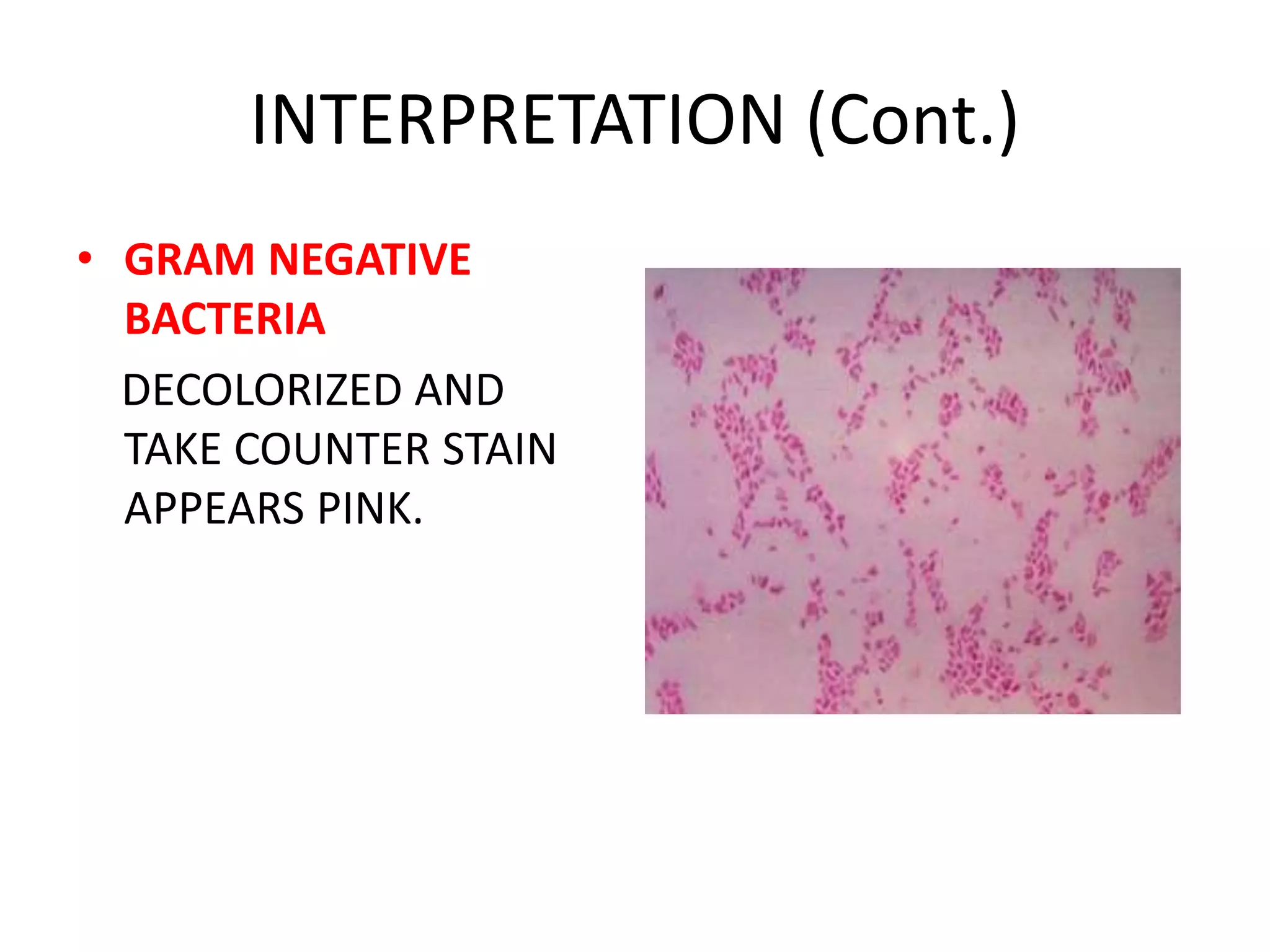 BASICS IN GRAM STAINING.pptx