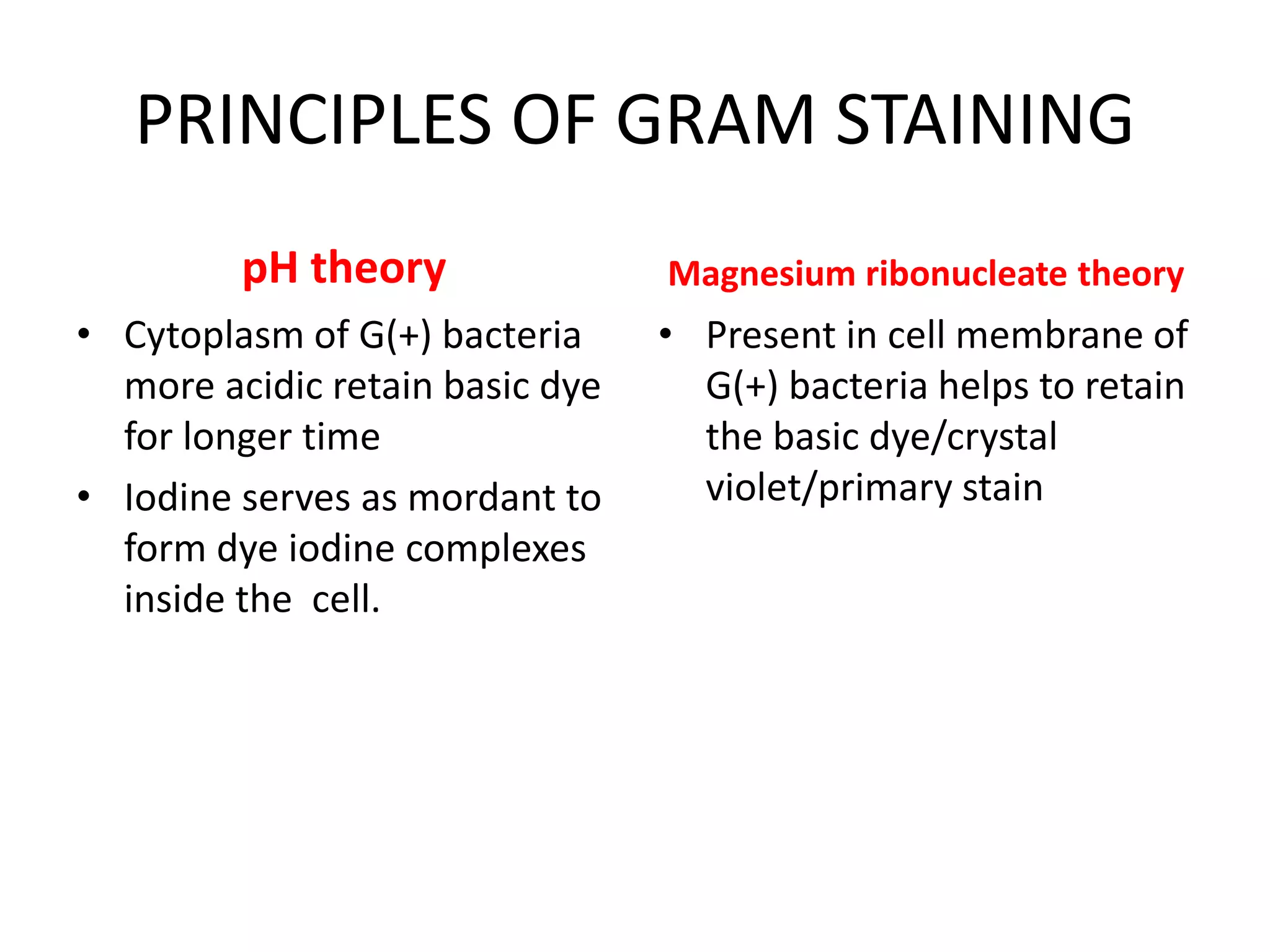 BASICS IN GRAM STAINING.pptx