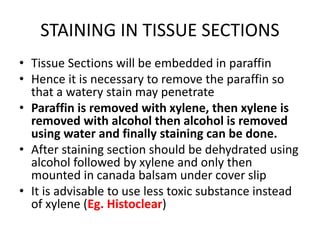 BASICS IN GRAM STAINING.pptx