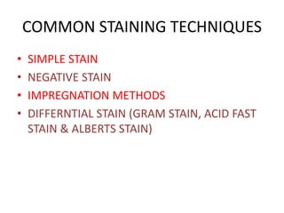 BASICS IN GRAM STAINING.pptx