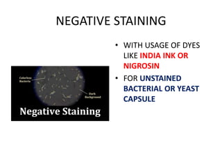 BASICS IN GRAM STAINING.pptx