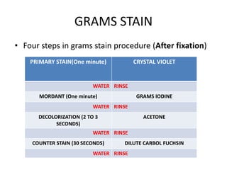 BASICS IN GRAM STAINING.pptx