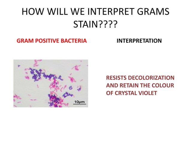 BASICS IN GRAM STAINING.pptx