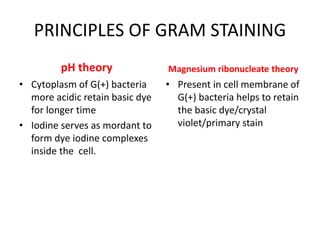 BASICS IN GRAM STAINING.pptx