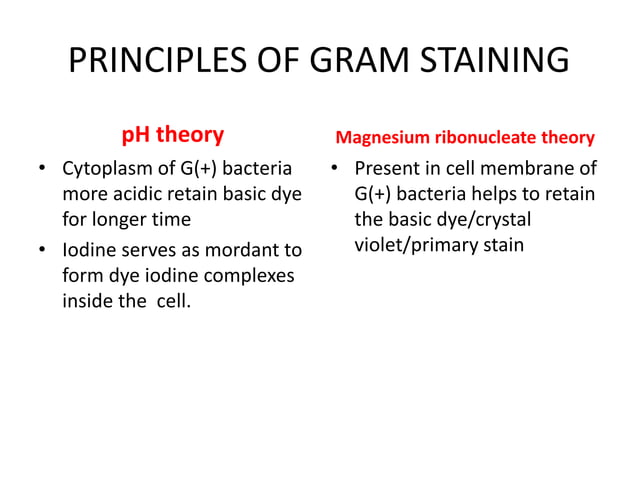 BASICS IN GRAM STAINING.pptx