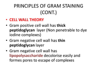 BASICS IN GRAM STAINING.pptx