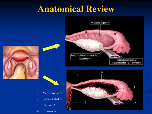 Basics in gyne laparoscopy