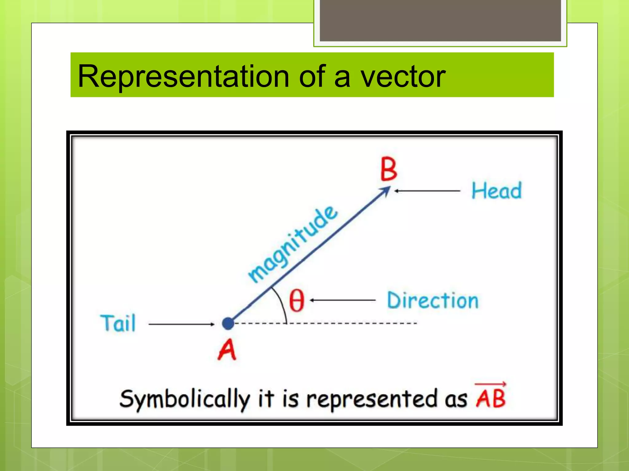Basics in scalar and vector | PPTX