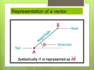 Basics in scalar and vector | PPTX