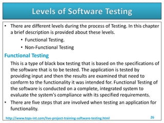 Basics in software testing | PPT