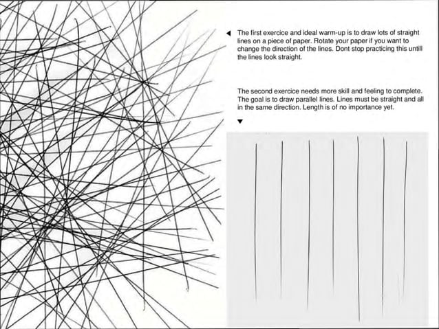 Basic sketching | PDF