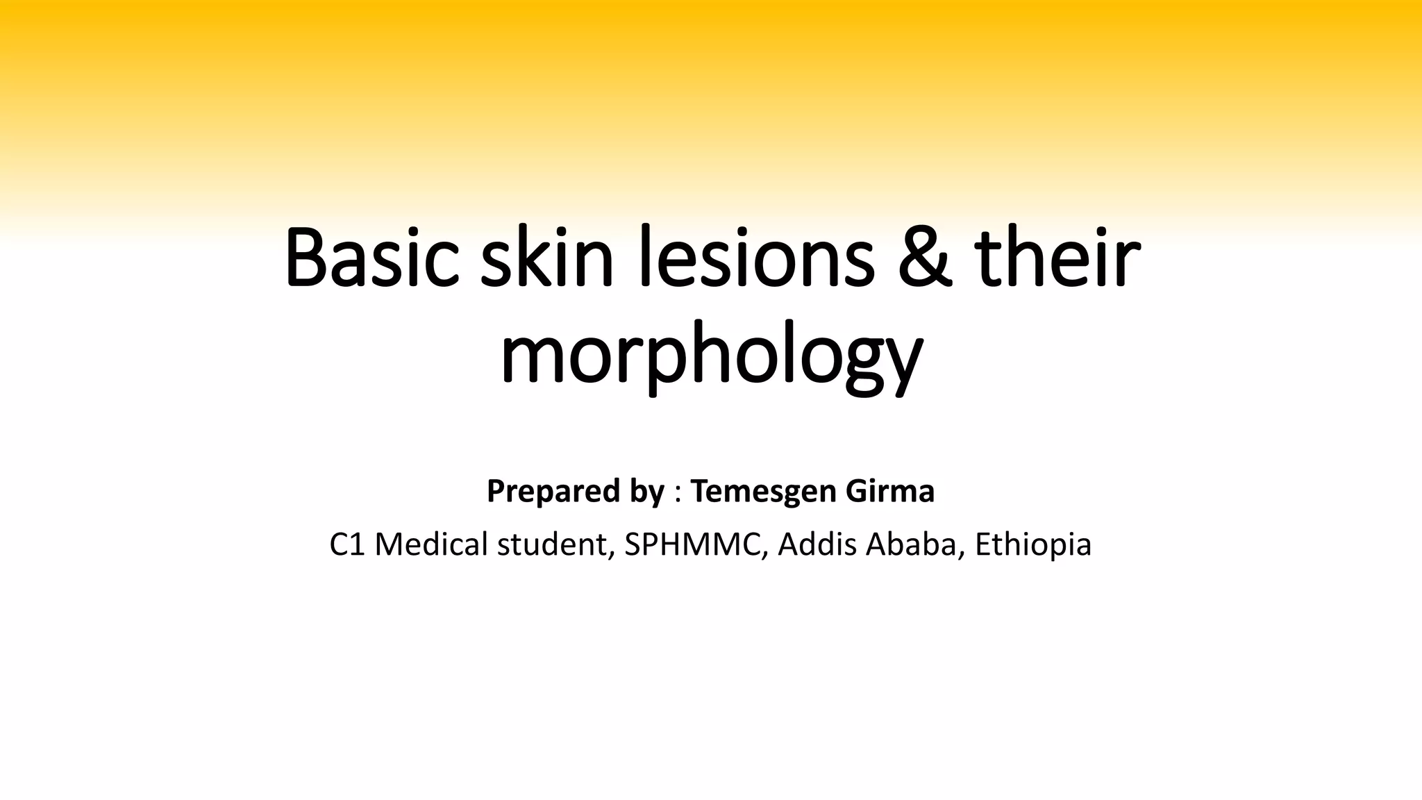 Basic skin lesions | PPTX