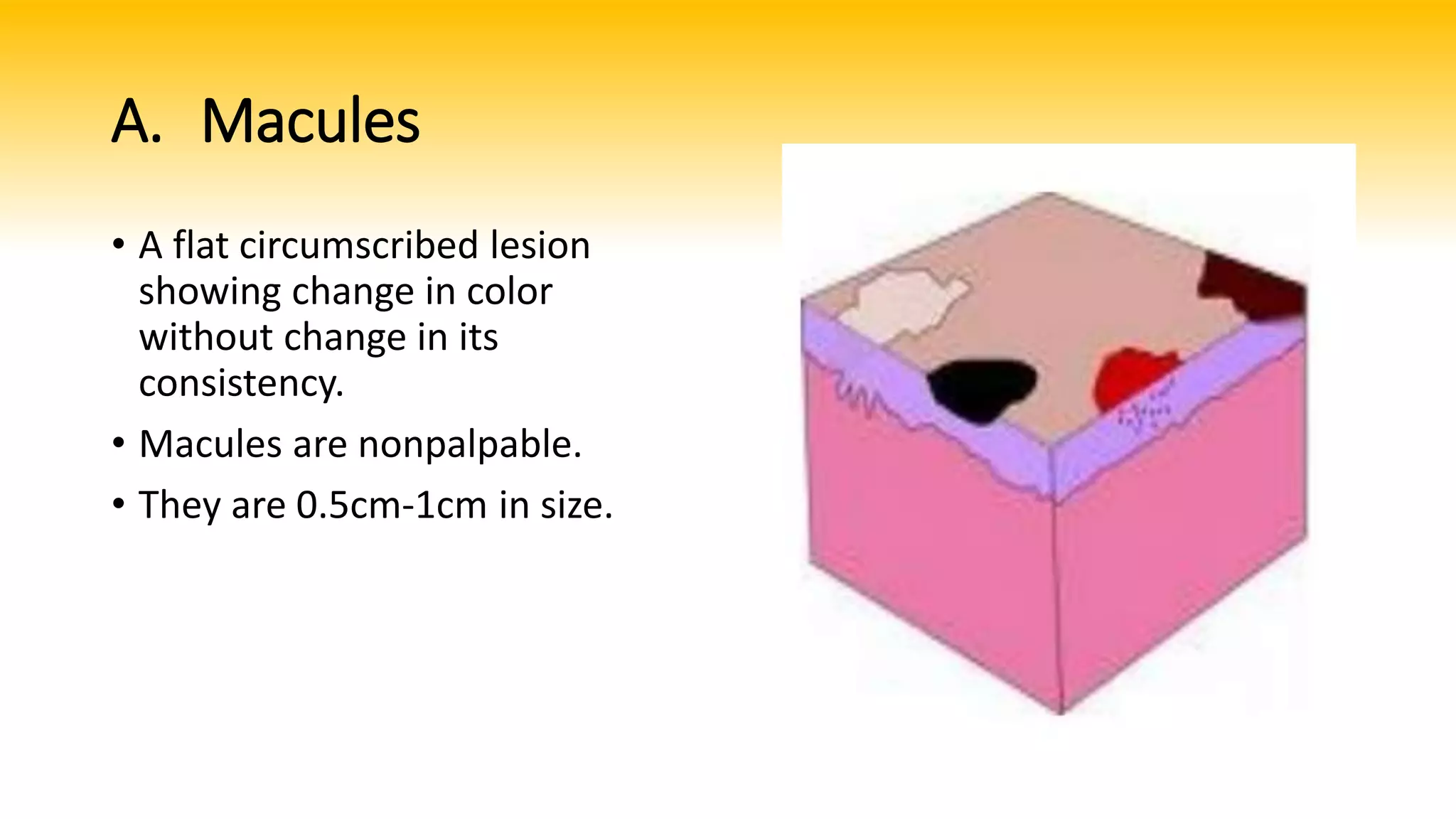 Basic skin lesions | PPTX