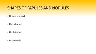 Basic skin lesions | PPTX