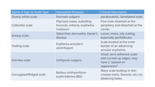 Comprehensive Overview of Basic Skin Lesions: Classification and ...