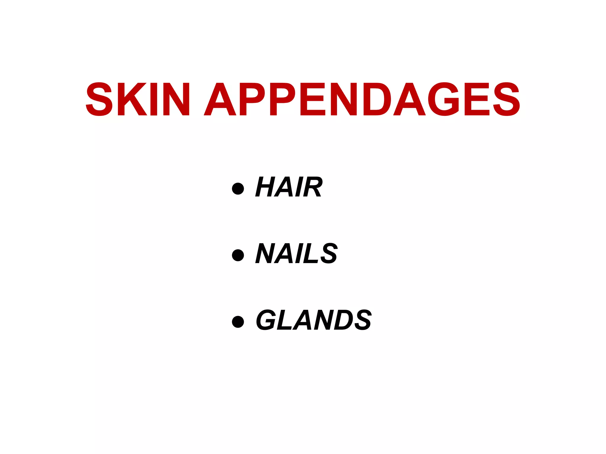 Basic Skin Structure | PPTX