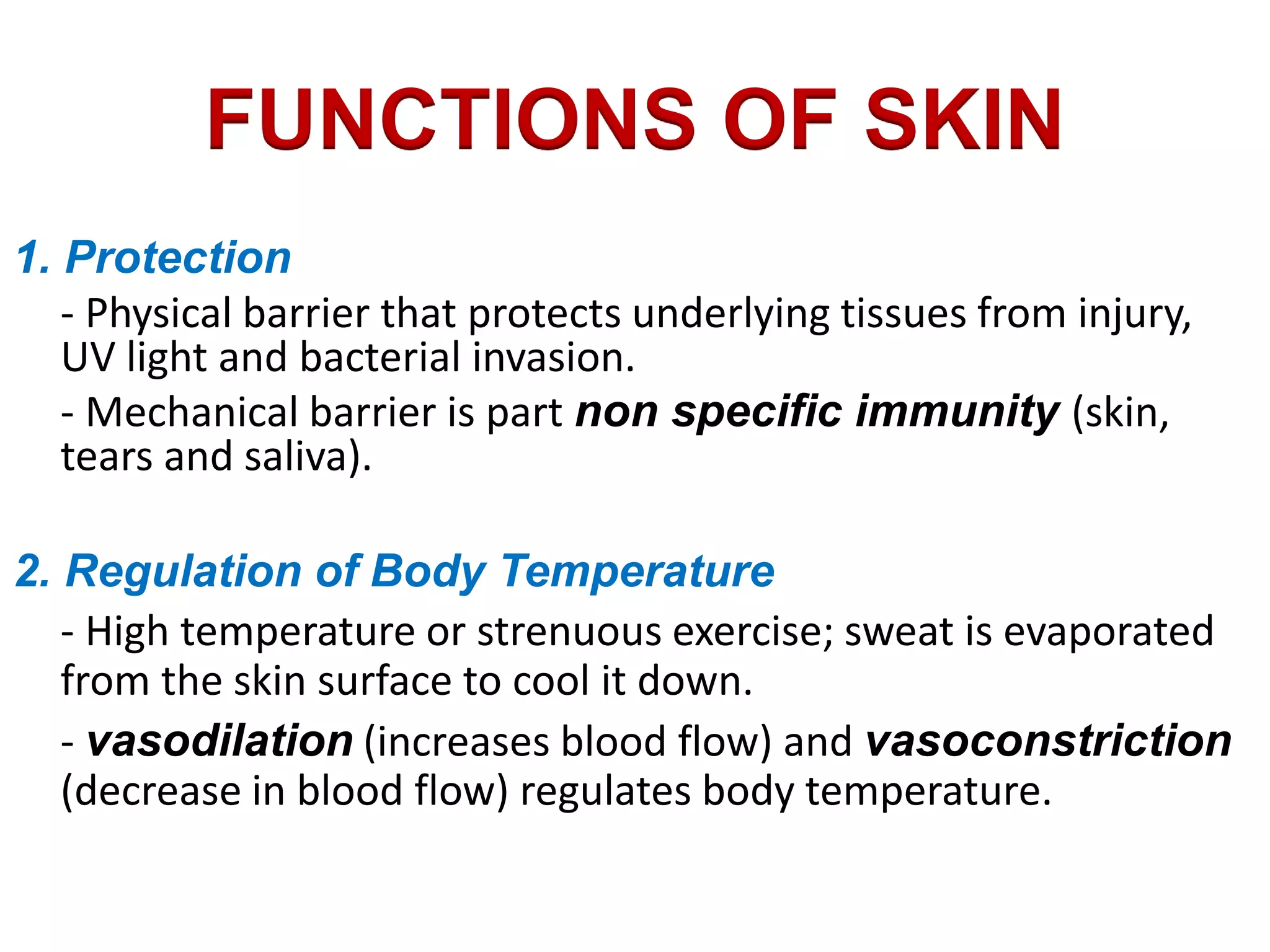 Basic Skin Structure | PPTX