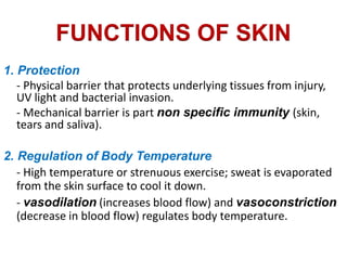 Basic Skin Structure | PPTX
