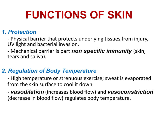 Basic Skin Structure | PPTX