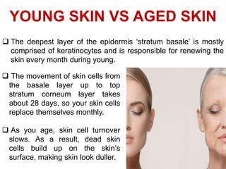 Basic Skin Structure | PPTX