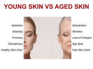Basic Skin Structure | PPTX