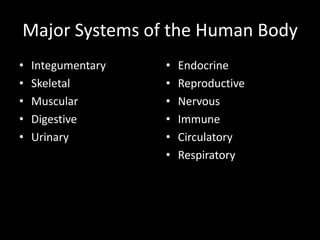 Anatomy and Physiology Basics IHS | PPT