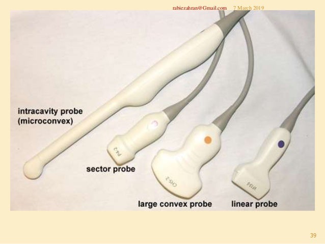 Basics of abdominal ultrasonography