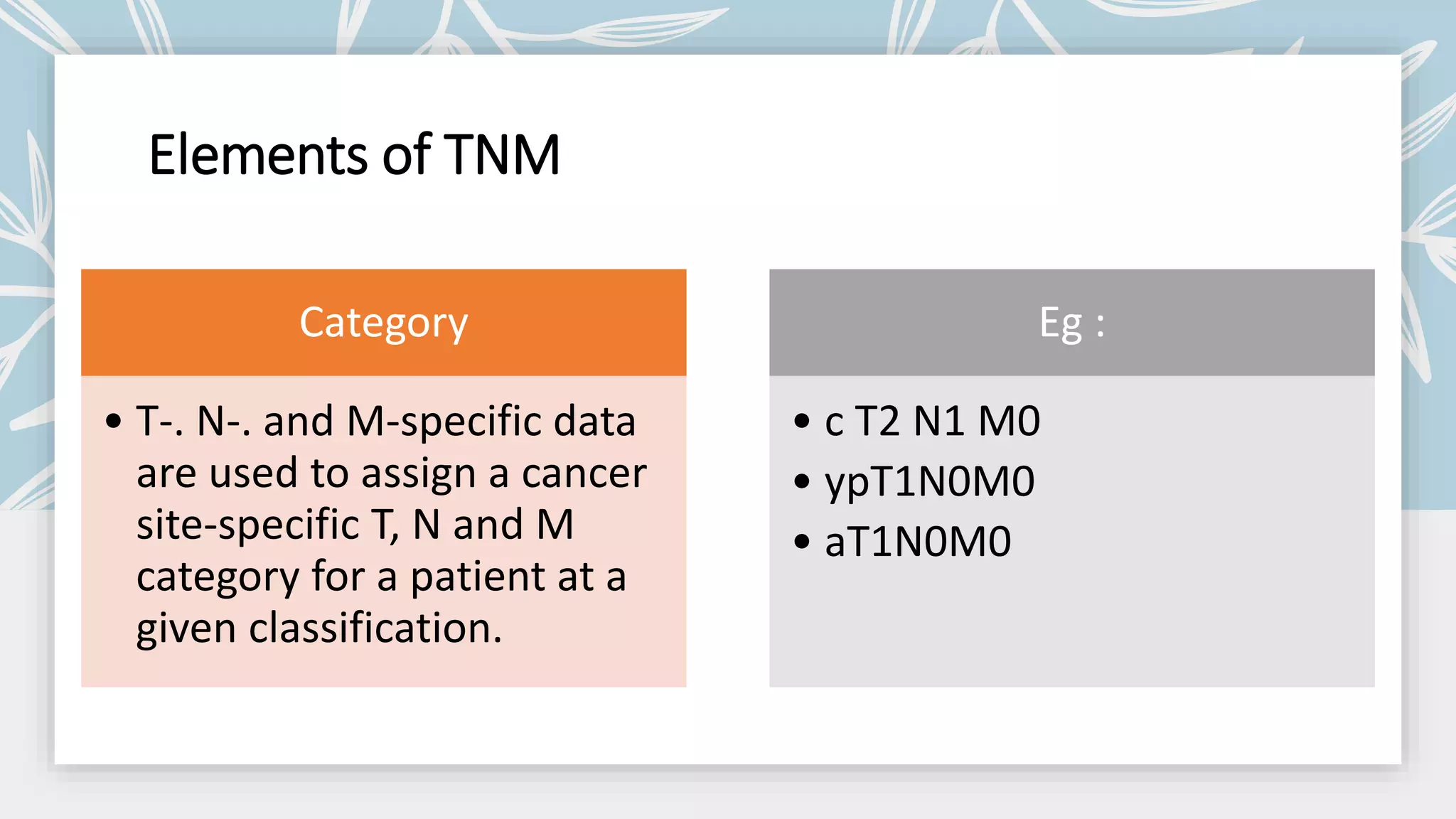 Basics of ajcc tnm staging of cancer 8th edition | PPTX