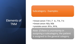 Basics of ajcc tnm staging of cancer 8th edition | PPTX