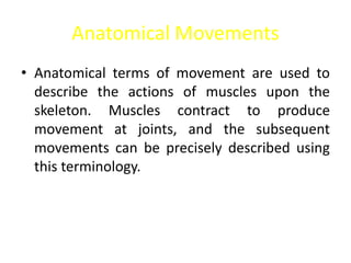basics of anatomy and physiology-1.pptx