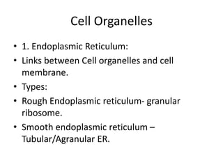 basics of anatomy and physiology-1.pptx