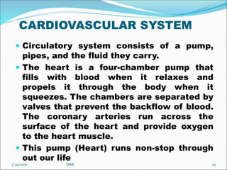 Basics of anatomy and physiology diploma 27 | PPT