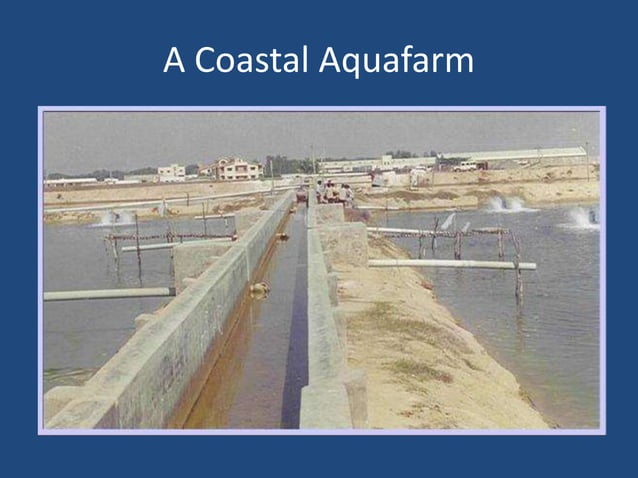 BASICS OF AQUACULTURE.pptx