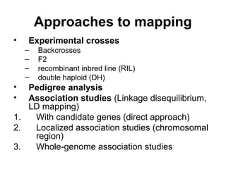Basics of association_mapping | PPT