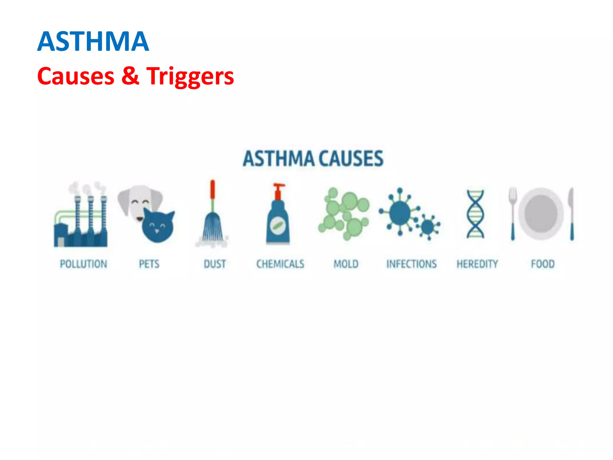 Basics of Bronchial asthma by Dr Qurban Hussain | PPTX