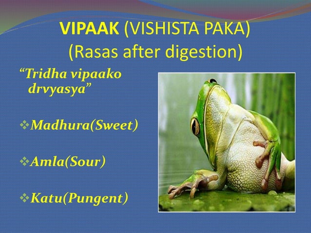 Basics of ayurveda.d | PPT