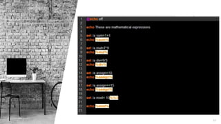 Basics of Batch Scripting.pdf