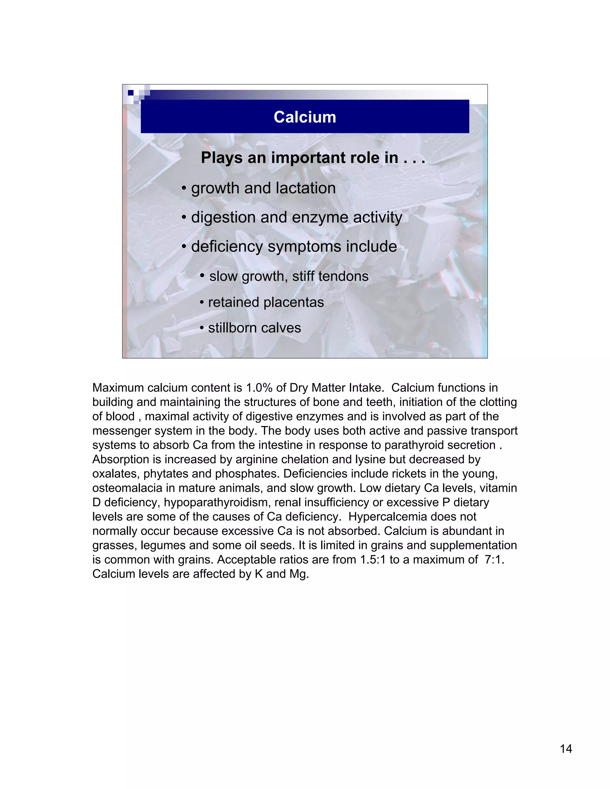 Basics of Beef Cattle Nutrition Notes | PDF