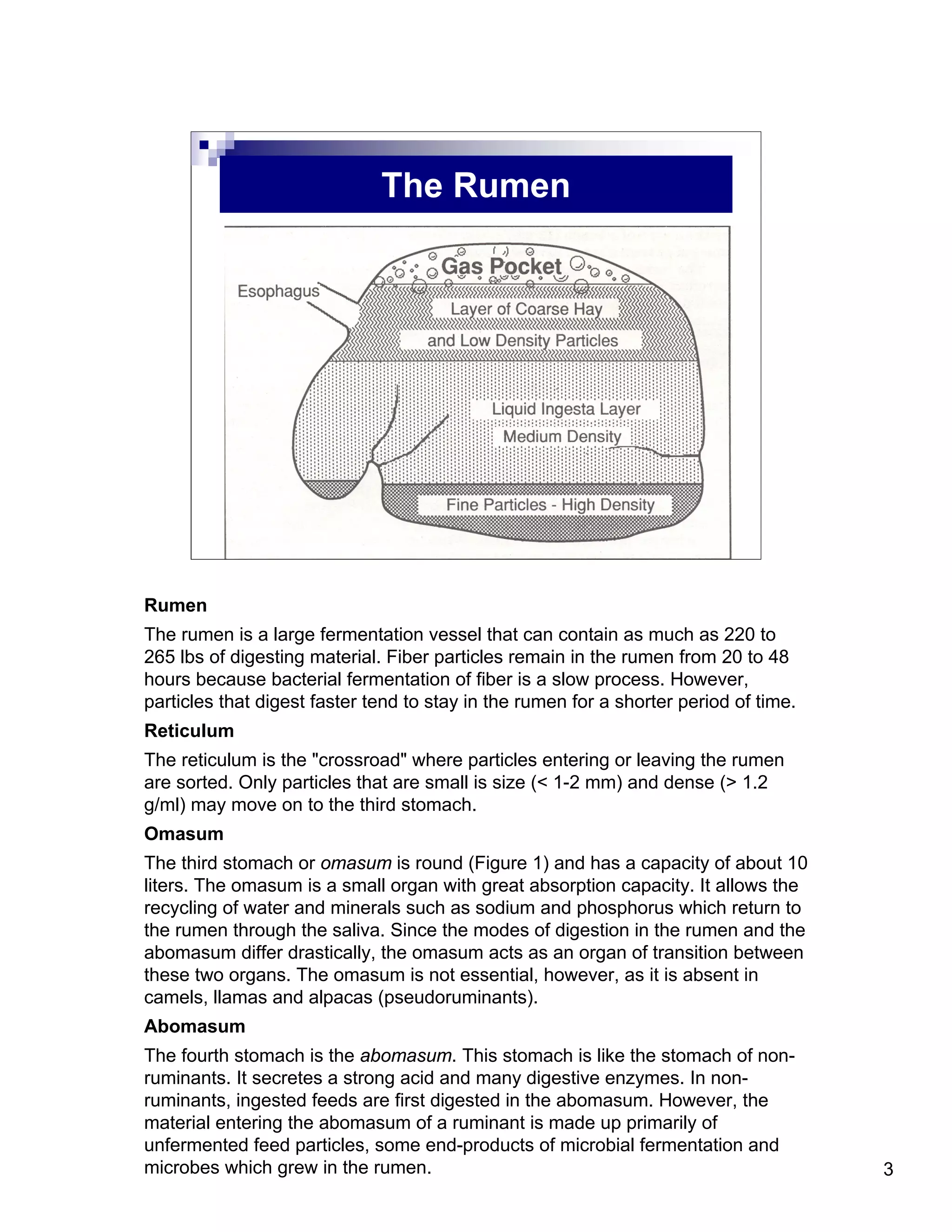 Basics of Beef Cattle Nutrition Notes | PDF