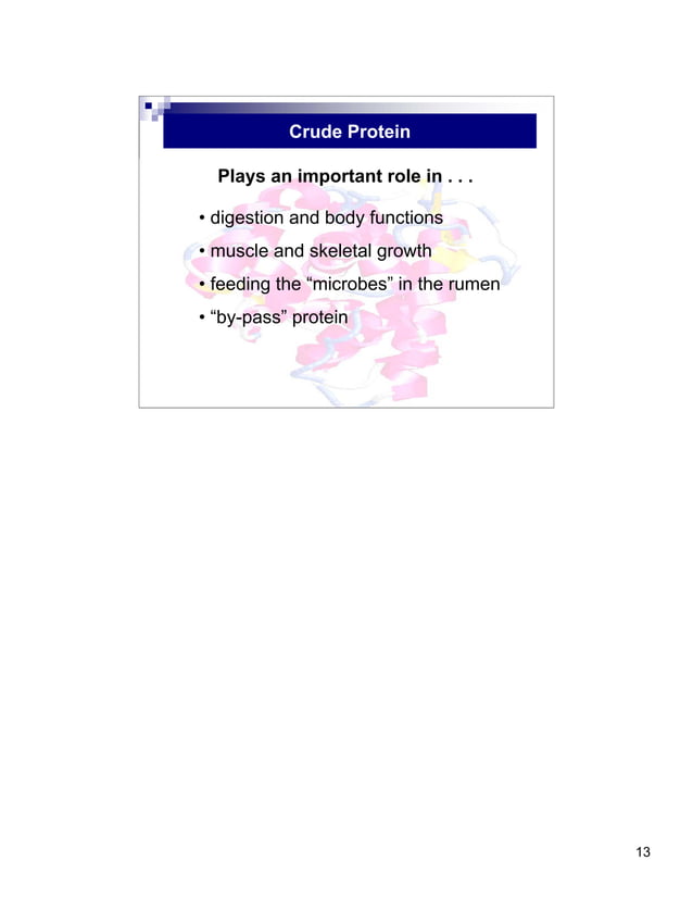 Basics of Beef Cattle Nutrition Notes | PDF