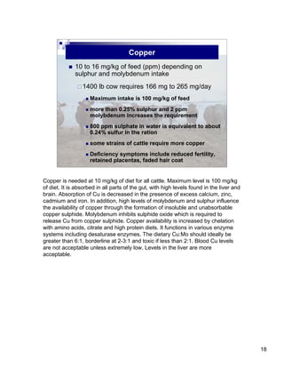 Basics of Beef Cattle Nutrition Notes | PDF
