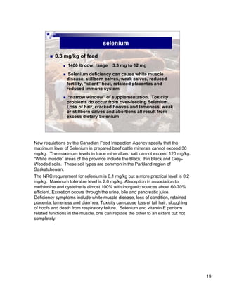 Basics of Beef Cattle Nutrition Notes | PDF