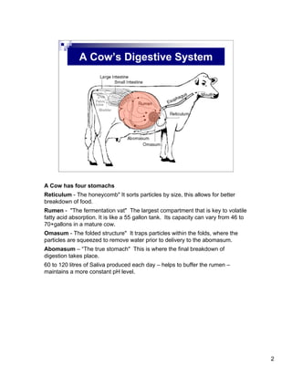 Basics of Beef Cattle Nutrition Notes | PDF