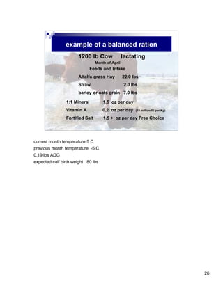 Basics of Beef Cattle Nutrition Notes | PDF