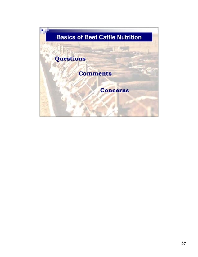 Basics of Beef Cattle Nutrition Notes | PDF